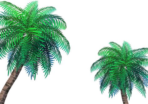 雅西縣插圖和矢量圖形 Istock
