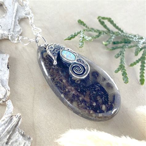 Fossil Hash Stone Treasures By The Lake