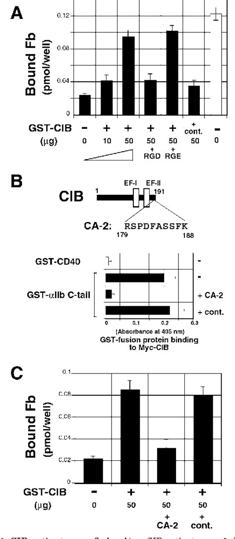 Figure 3 From Calcium Integrin Binding Protein Activates Platelet