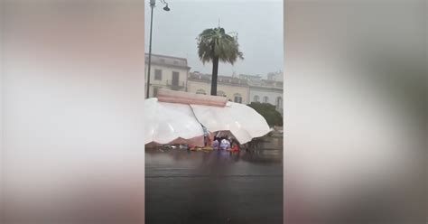 Tromba D Aria A Marina Di Massa Crollano Diversi Alberi