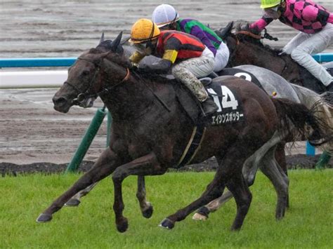 【cbc賞】エイシンヒカリ産駒がjra重賞初制覇へ エイシンスポッターが参戦 競馬ニュース Netkeiba