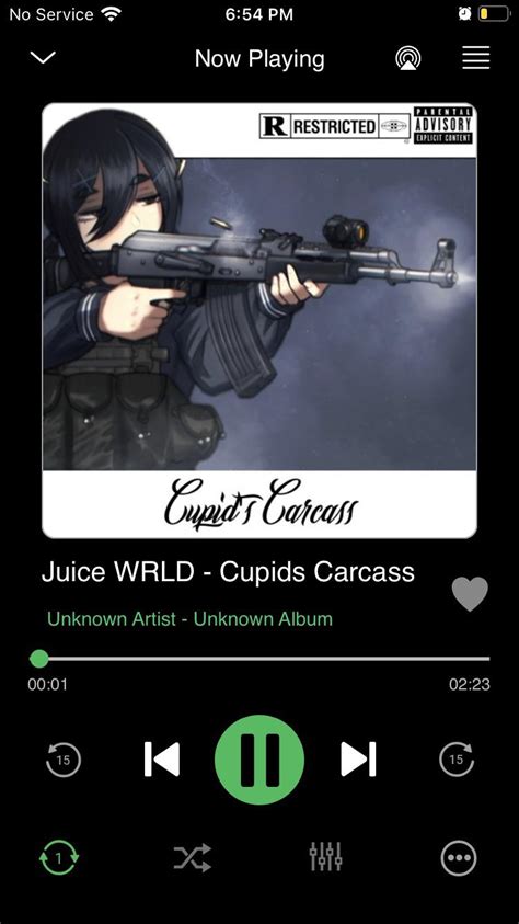 Opinion On Cupids Carcass Rjuicewrld