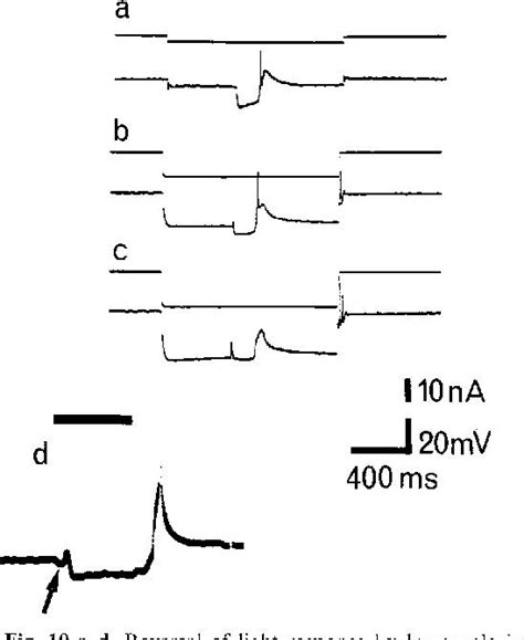Understanding Waveforms An Educational Diagram
