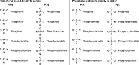 Functional Groups Phosphate