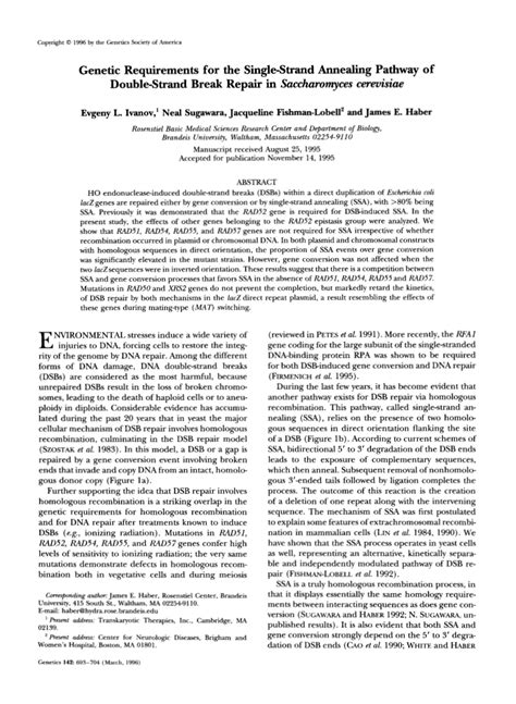 Pdf Genetic Requirements For The Single Strand Annealing Pathway Of