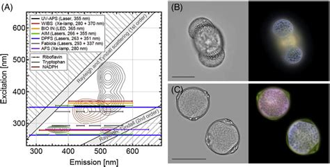 Fluorescence Spectroscopy And Microscopy A Conceptual Eem