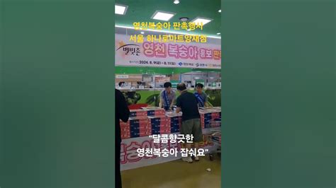 영천복숭아 판촉행사 서울 하나로마트 양재점 달콤향긋한 영천복숭아 드세요 영천시조공법인 Youtube