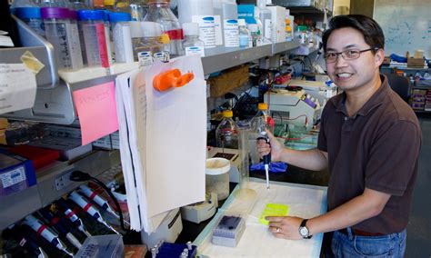 Scientists Unveil Sex Linked Control Of Genes