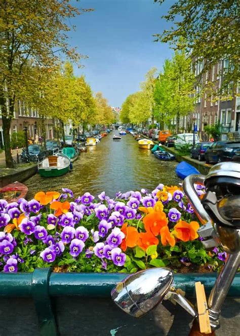 16 Ways To Say Hello In Dutch Greetings Kisses Customs