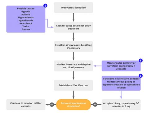 Counseling Of A Patient With Symptomatic Bradycardia Osce Guide