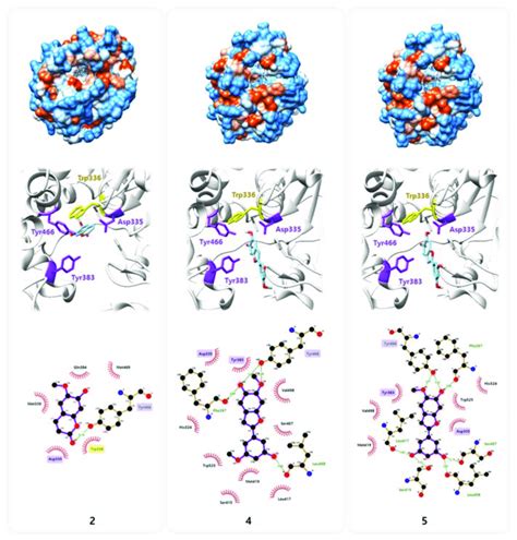 Molecular Docking Simulation Of Compounds 2 4 And 5 Into The