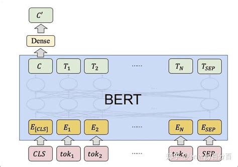 最全面 使用 Bert 解决下游 NLP 实际任务 知乎 最全面 使用 Bert 解决下游 NLP 实际任务 知乎