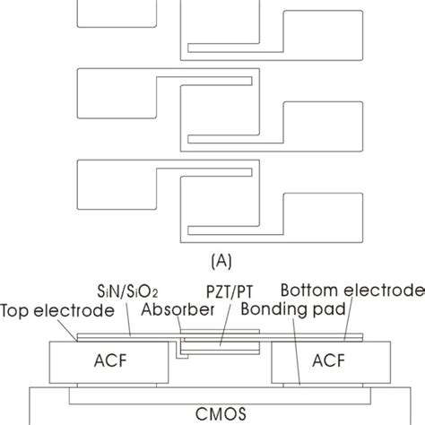 Structure Of The Linear Array Download Scientific Diagram