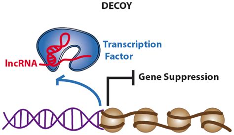 Ijms Free Full Text Bioinformatics Tools And Novel Challenges In