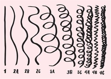 How To Figure Out Your Curl Type And Why It Actually Helps Curly Hair