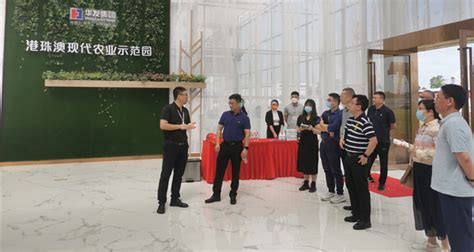 中山兴中集团有限公司