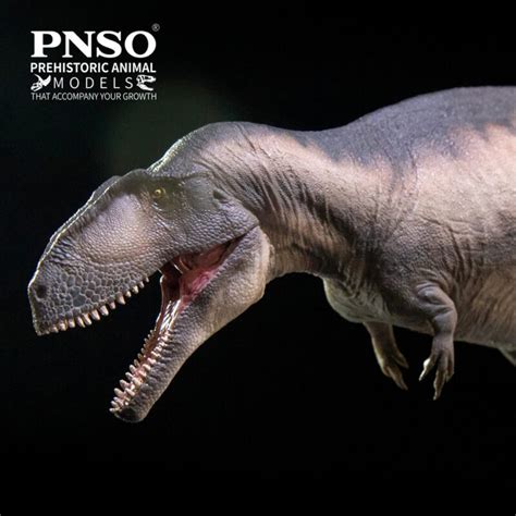 Pnso Mila The Mapusaurus Everything Dinosaur