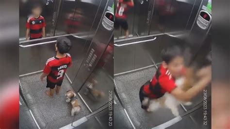 Un Ni O Salva A Su Perro De Morir Atrapado En La Puerta De Un Ascensor