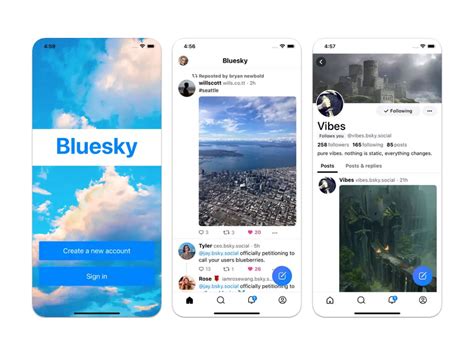 What Is Bluesky A Look At The Popular Twitter Alternative And How To