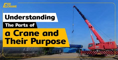 Understanding The Parts Of A Crane And Their Purpose