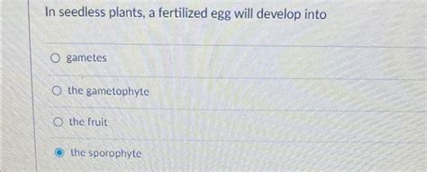 Solved In Seedless Plants A Fertilized Egg Will Develop