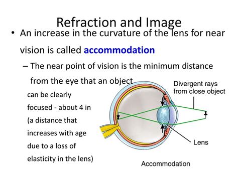 What Is Refraction Of Eye At Kenneth Negron Blog