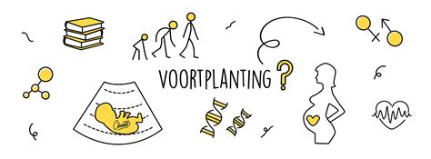 Welke Vormen Van Voortplanting Zijn Er Mr Chadd Academy