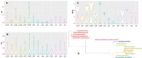 Non Synonymous D N And Synonymous D S Substitution Rates In The