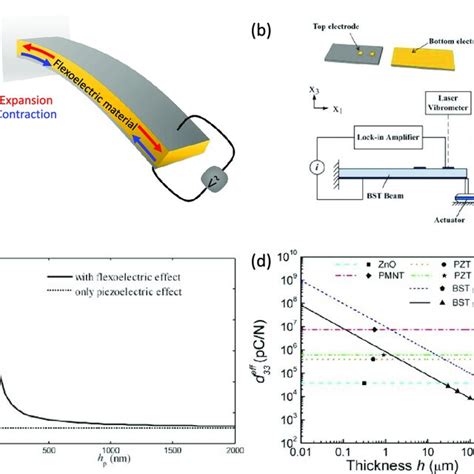 A Cantilever Type Flexoelectric Actuators B Experimental Setup For Download Scientific