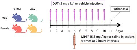 Three Dimensional Analysis Of Sex And Gonadal Status Dependent