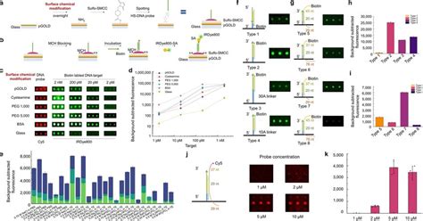 Constructing A Dna Microarray On A Modified Pgold Substrate A