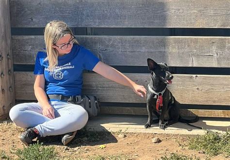 Serate Enpa Monza E Brianza Sui Cani Adottati Il Cittadino Di Monza E