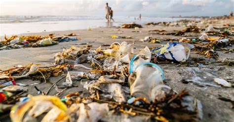 Plastic Pollution Key Facts At Ola Cahoon Blog