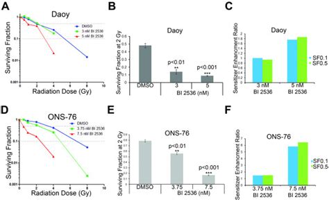 Pretreatment With Bi 2536 Enhances Radiation Sensitivity In