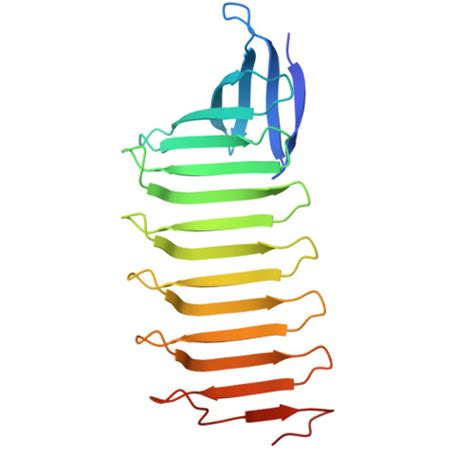 Rcsb Pdb 6kk9 A Crystal Structure Of Ospa Mutant