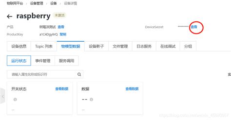 树莓派接入阿里云iot平台1（python模拟数据上传）树莓派无法与阿里云平台传输数据 Csdn博客
