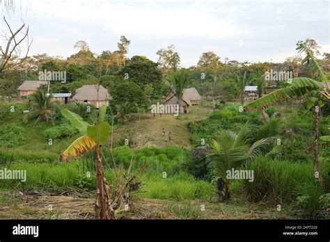 Indigenous People View Of The Traditional Houses With Thatched Roofs