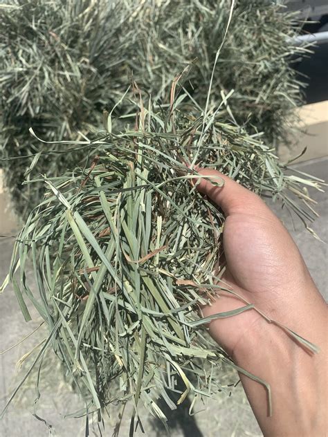 H702 Orchardgrassalfalfa Three Tie Bale Southeast Hay