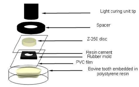 Schematic Presentation Of Specimen Preparation Download Scientific Diagram