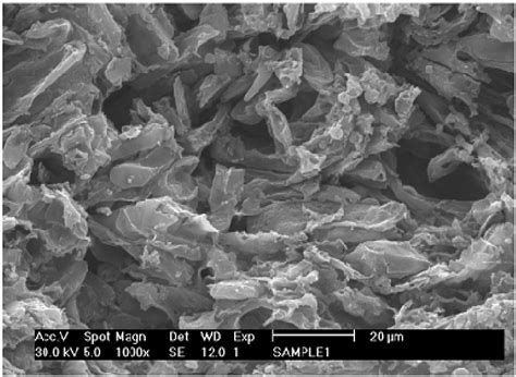 Scanning Electron Micrograph Sem Of Undisturbed Peat Specimen