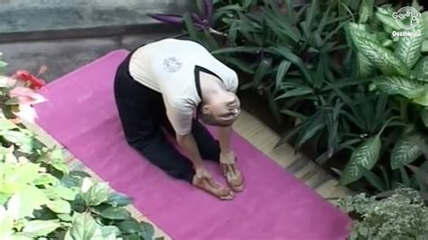5 Simple Yoga Asanas For Better Digestion Easy Yoga Exercises For