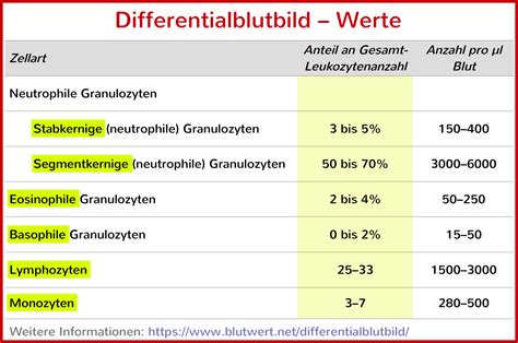 Differentialblutbild Werte Der Leukozyten Analyse