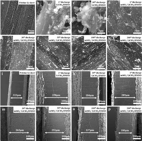 Morphology And Thickness Of Li Anodes In The Lobs A I Pristine Li