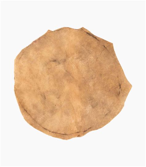 A Complete Guide To Buying A Tonbak Instrument Delaram Music