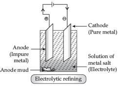 Metals And Non Metals Class Worksheet Science