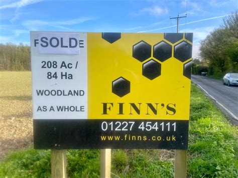Woodland Sold Nationallandscape Kentdowns Nicholas Rooke