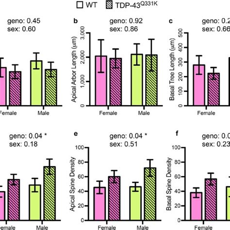 No Observed Sex Differences In Morphological Characteristics Of Motor