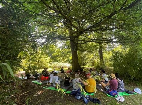 Gary Evans On Linkedin Forestbathing Mindfulness Nature