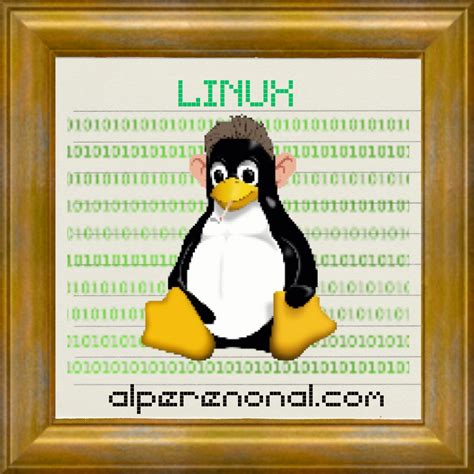 Linux Dosya Ve Dizin İzinleri Nedir Chmod Nedir Yetkilendirme Nasıl