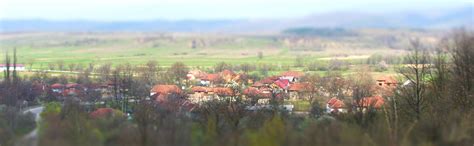 Primaria Carpinet Jud Bihor Romania